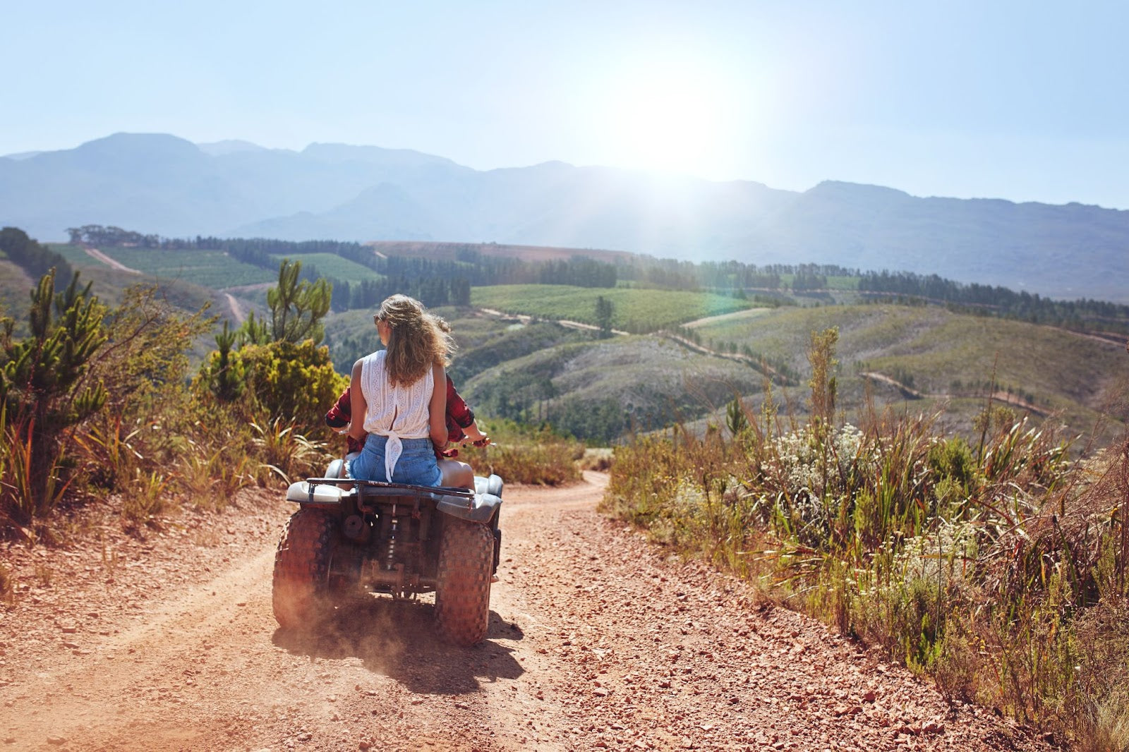 Which ATVs are the best for summer riding adventures? – PERFEX Industries